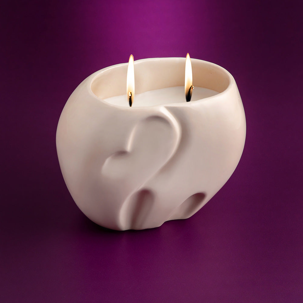 Jumbo Loop Elephant Kokulu Kase Mum | Jumbo